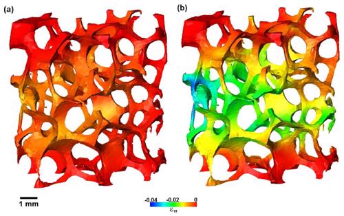 Digital Volume Correlation (DVC) Analysis of Aluminium Foam - TWI