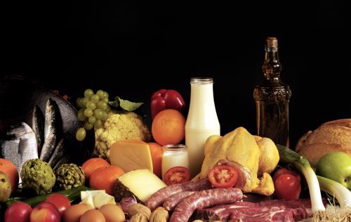 Dynamic gastric models built for the Institute of Food Research - TWI