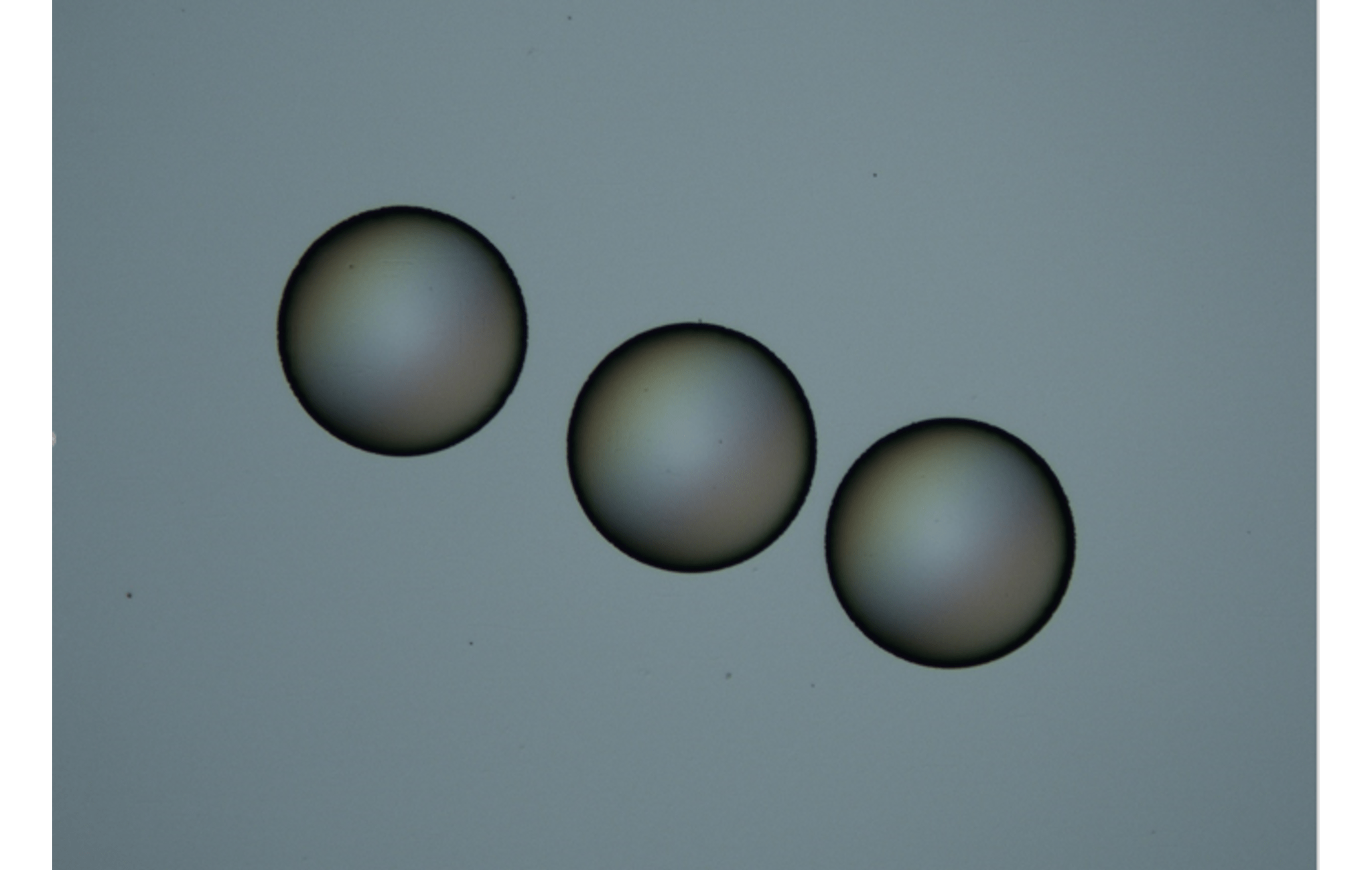 Coupling Light in an Optical Chip using a Microlens Approach - SEER