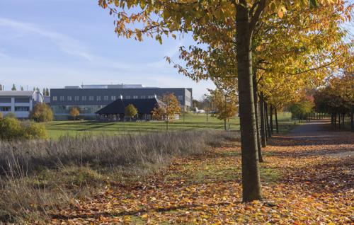 Industrial Membership Benefits: Projects - TWI