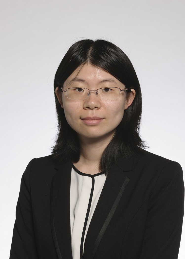 Risk Assessment Model for Rail Track Inspection - TWI