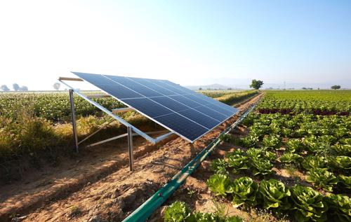 ARISE: Making a Step-Change to Solar and Hydroponic Farms - TWI